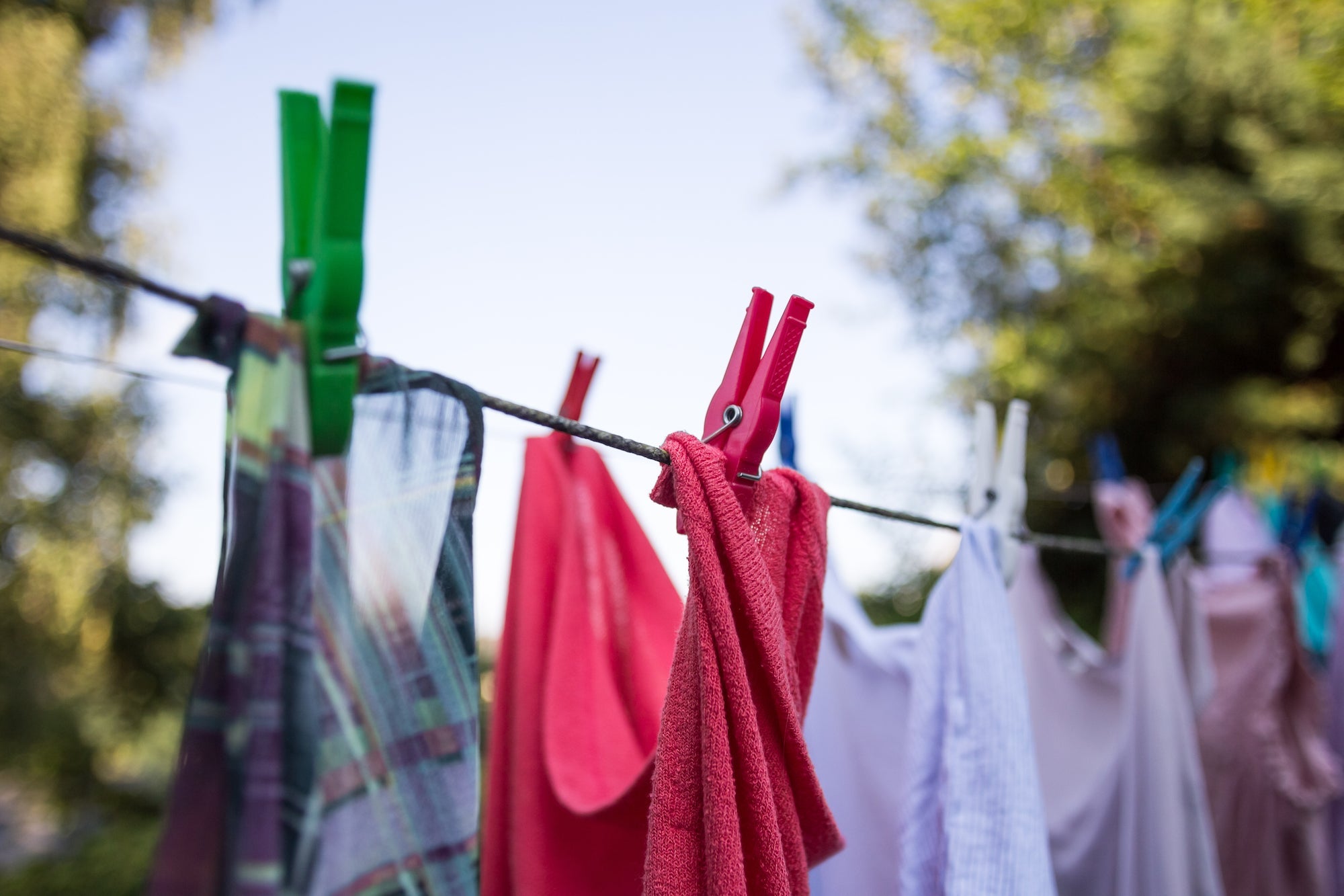 How to Dry Bras – Knix Canada